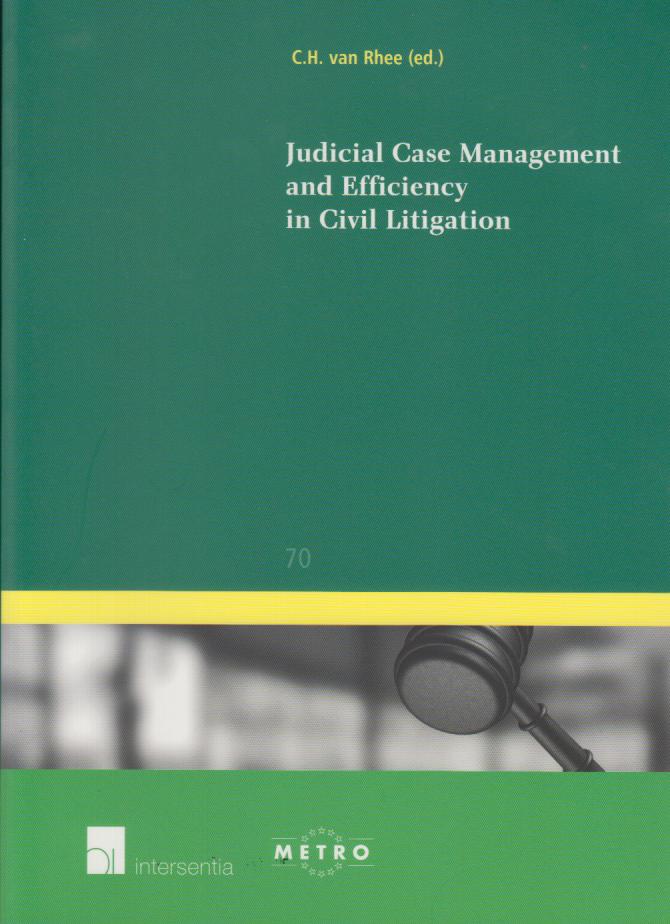 Judicial Case Management and Efficiency in Civil Litigation | DDTC Library